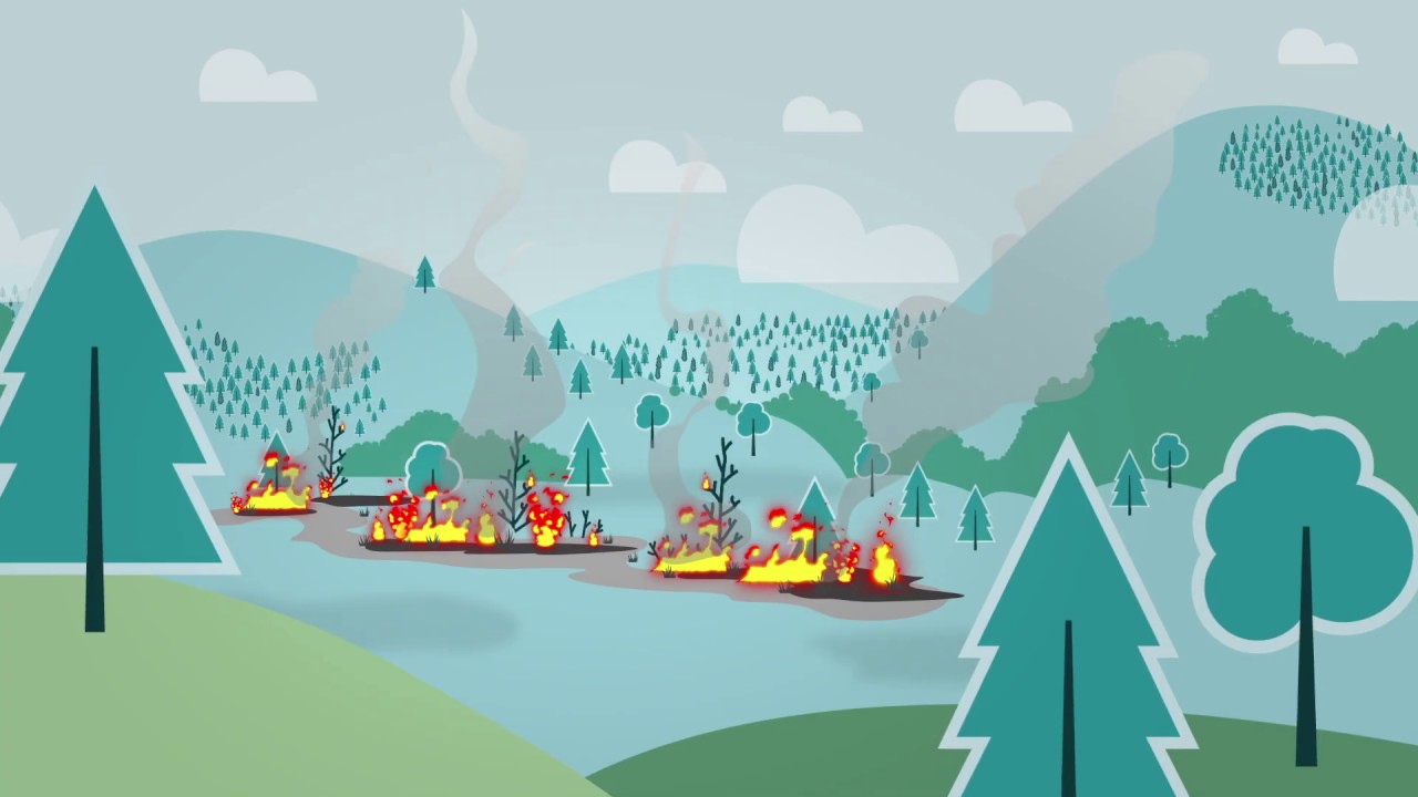 FireSmart - Begins at Home - YouTube