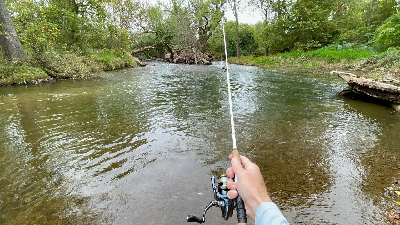 TROUT FISHING For A Living?! (I QUIT MY JOB) - YouTube