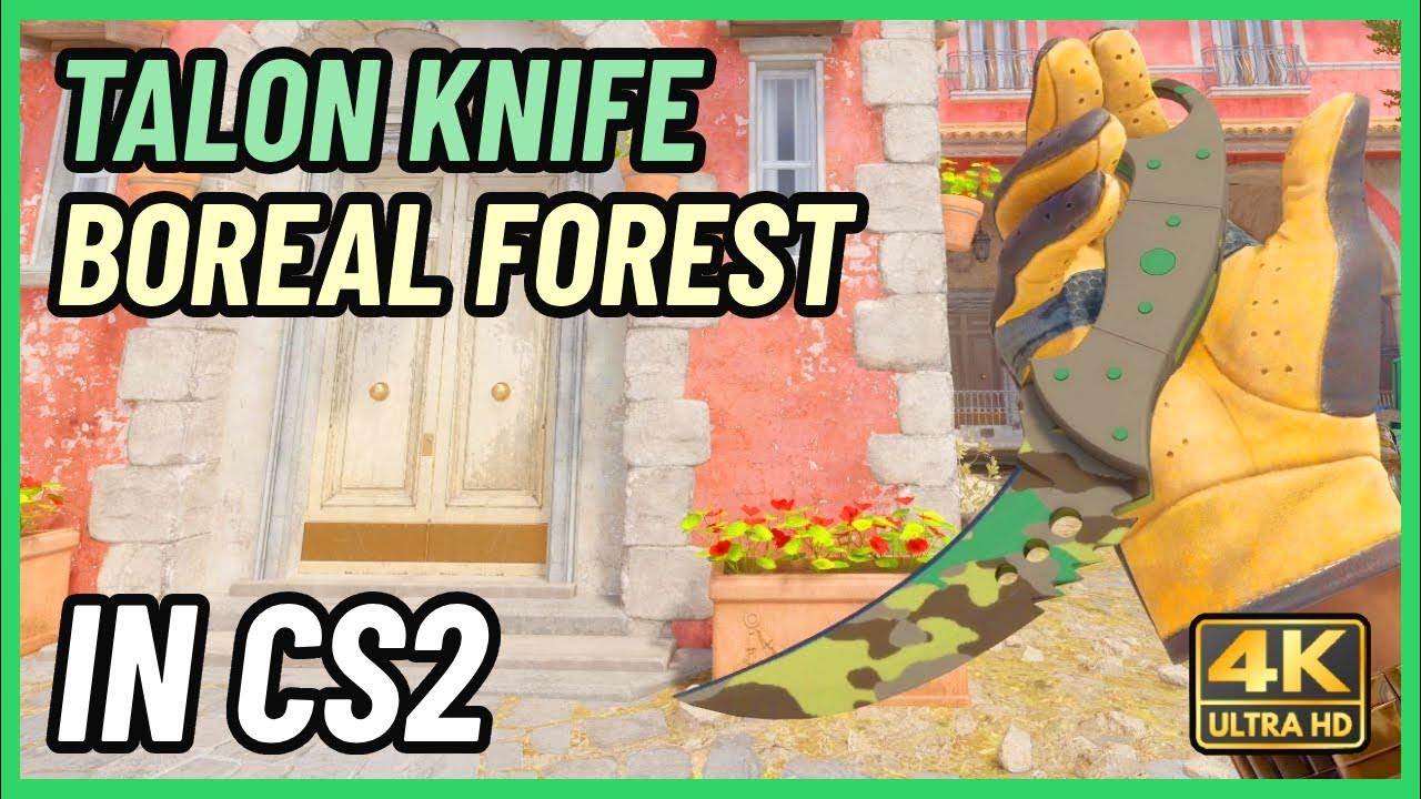 CS2 Talon Knife Boreal Forest | CS2 Knife In-Game Showcase [4K] - YouTube