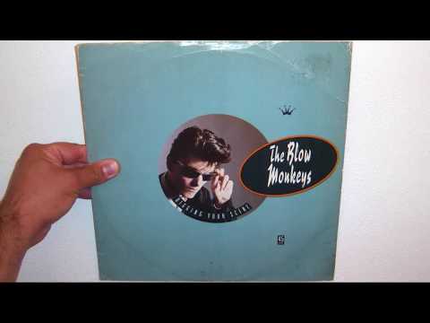 The Blow Monkeys – Digging Your Scene (1986, Vinyl) - Discogs