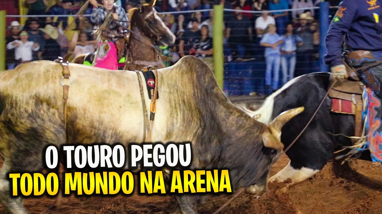 Uma seleção de TOUROS PULADORES no rodeio da EXPOJARA - YouTube