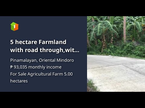 5 hectare Farmland with road through,with electricity and water for sa ...