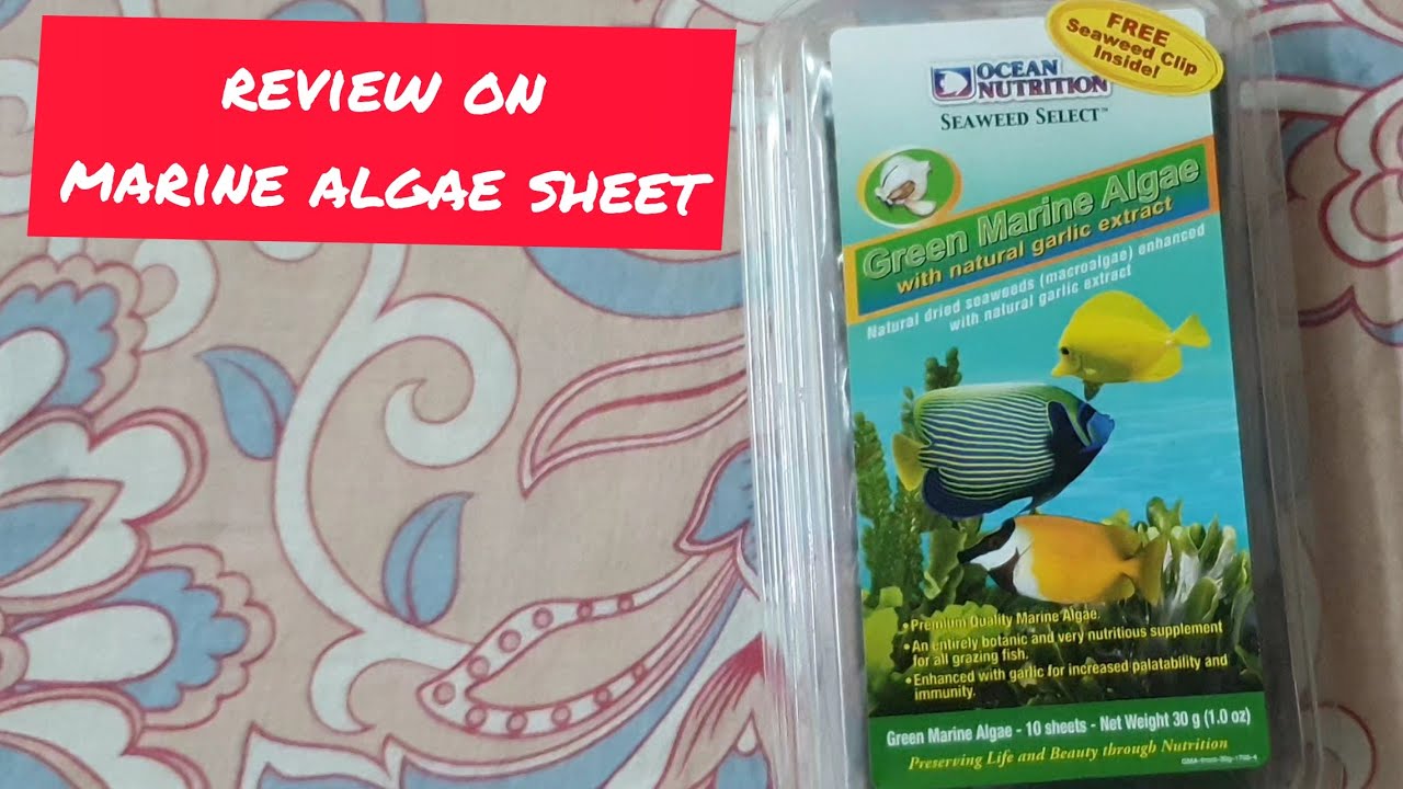 A review on marine algae sheet - YouTube