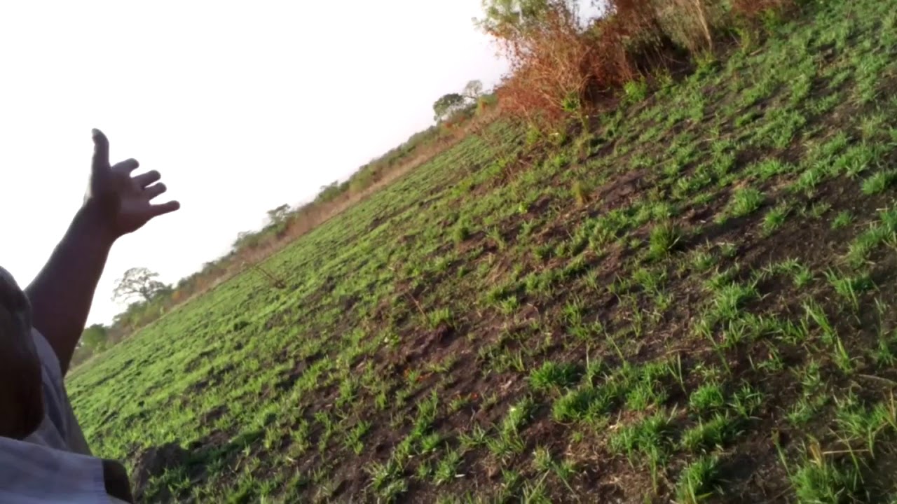 15 Acres in Akuse Ghana - YouTube