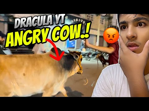 Patrol wale kai cow bhag gayi 😳😡|| Bina puchay nikale🤫 || #vampireyt # ...