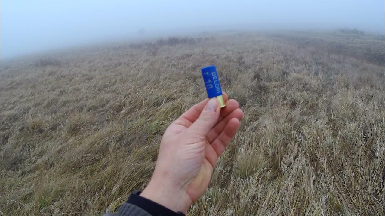 Lov na divlje patke-Duck hunting-Bird hunting - YouTube