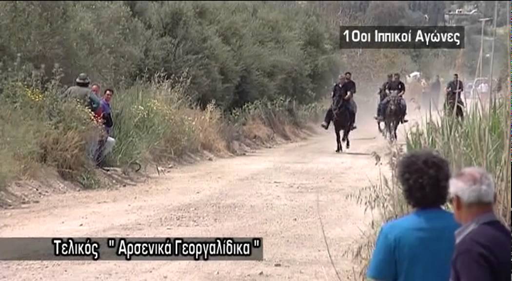 Γεωργαλίδικο άλογο μεσσαράς - 10οι ιππικοί αγώνες - YouTube