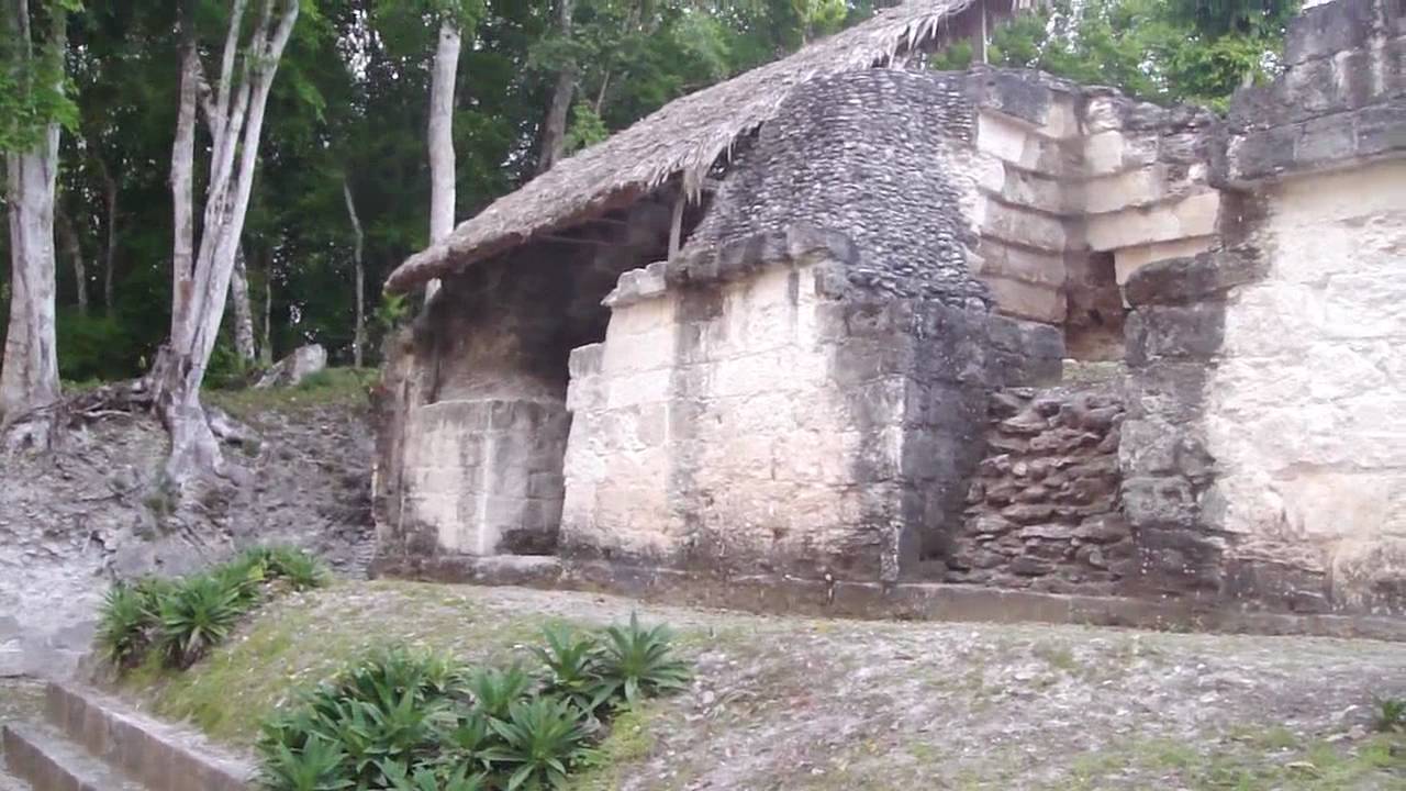 Exploración Maya 96, Nakum, Guatemala, Eduardo González Arce - YouTube