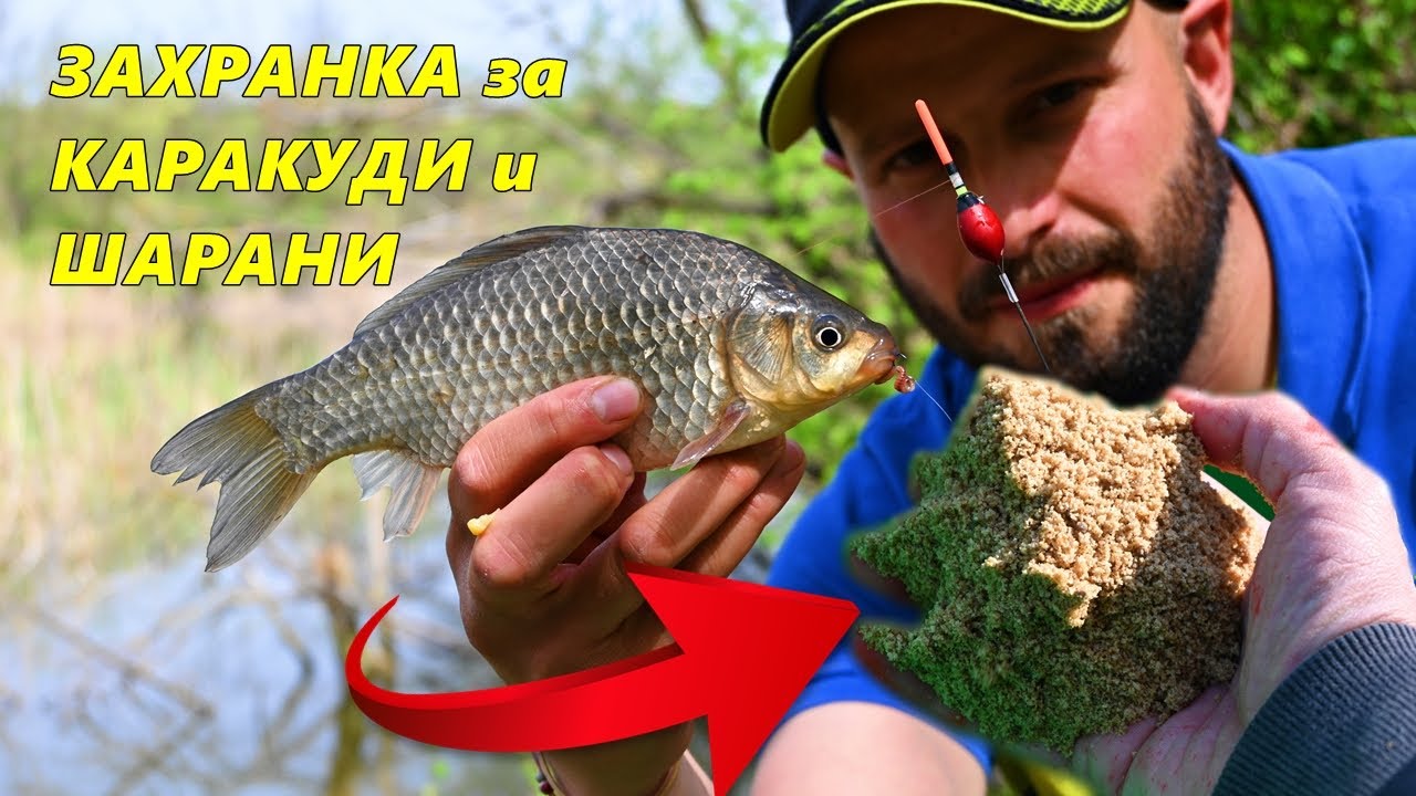 ЗАХРАНКА за КАРАКУДИ и ШАРАНИ - РЕЦЕПТА за УСПЕШЕН РИБОЛОВ - YouTube