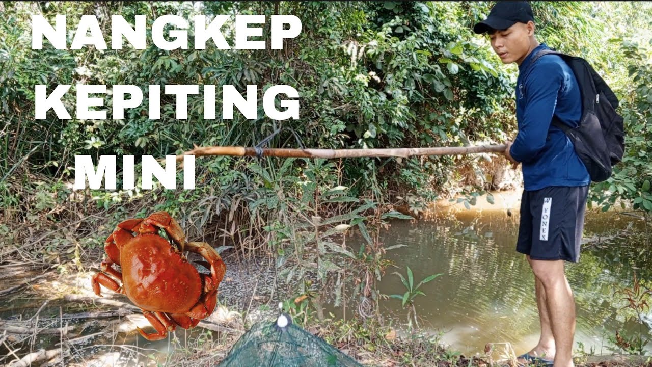 berburu kepiting mini di kali,kalo tempat kalian namanya hewan apa nih ...