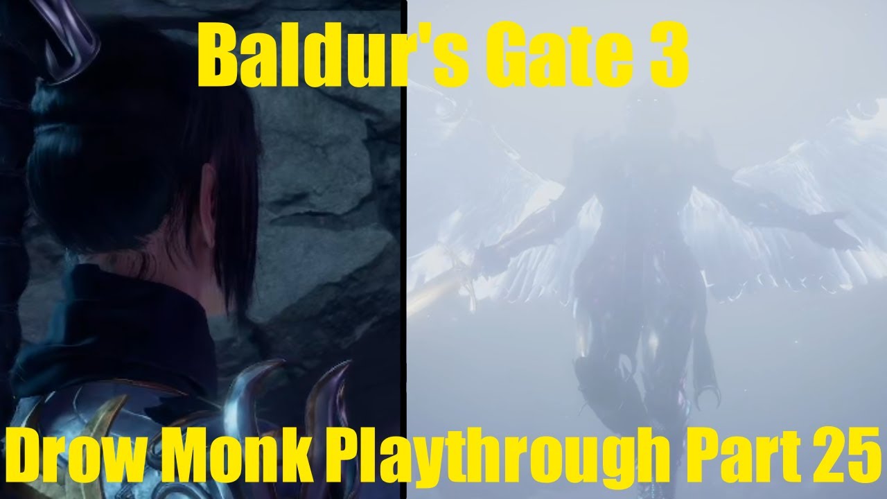 I've converted. Sorry, Lady Shar. | Baldur's Gate 3 Drow Monk ...