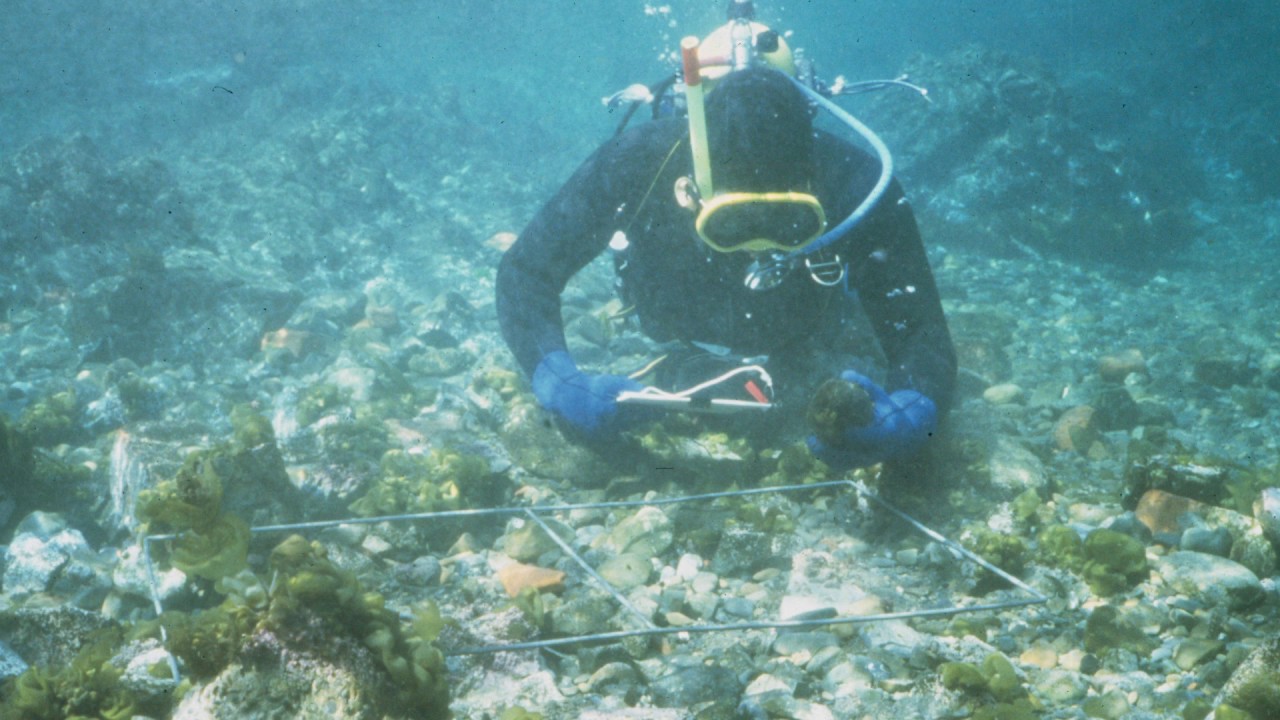 Distinguished Professor David Schiel – 2016 UC Research Medal - YouTube