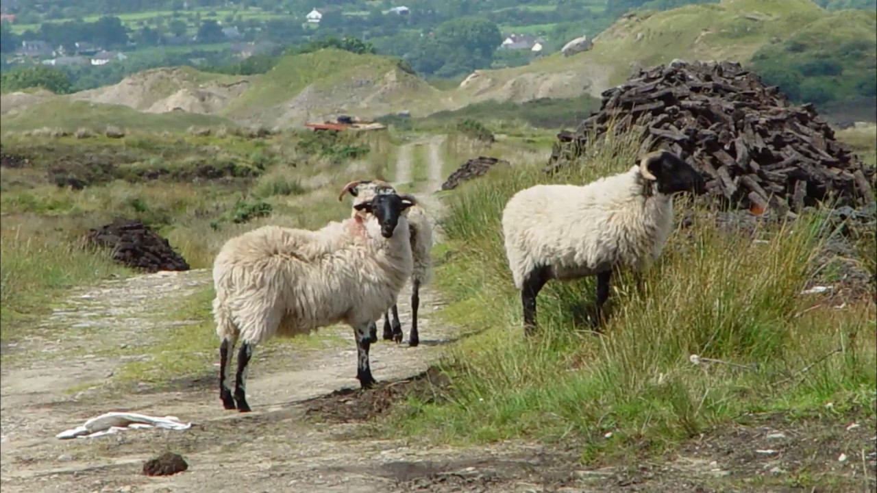 Ox Mountain Walk - YouTube