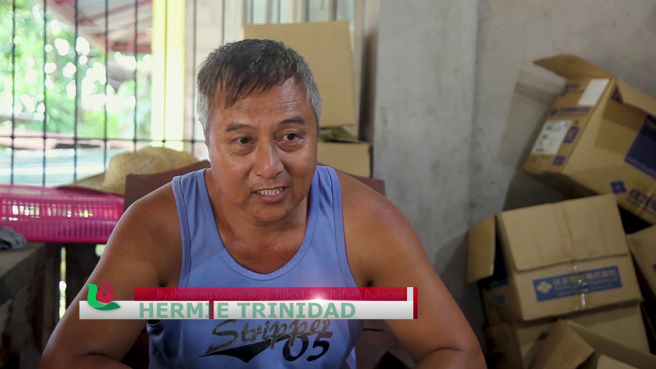 Cong Lorna C. Silverio's Accomplishment Report Video - YouTube