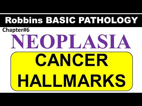 Chp6 (Part5) Robbins Basic Patho | CANCER HALLMARKS | General Pathology ...