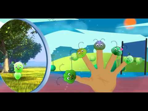 Ant Finger Family Nursery Rhymes Kids Songs - YouTube