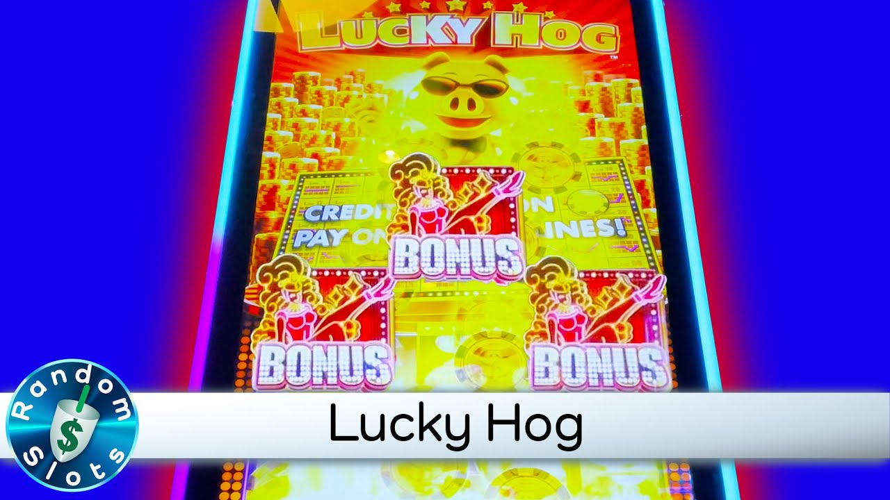 Lucky Hog Slot Machine Bonus - YouTube