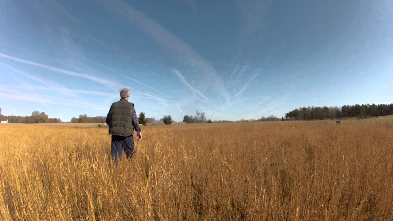 Delta wing toss tests, powered tests - YouTube
