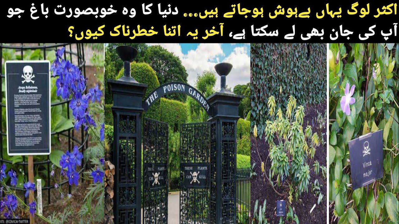 The poisonous garden in the world😱/this garden will kill you/Mostly ...