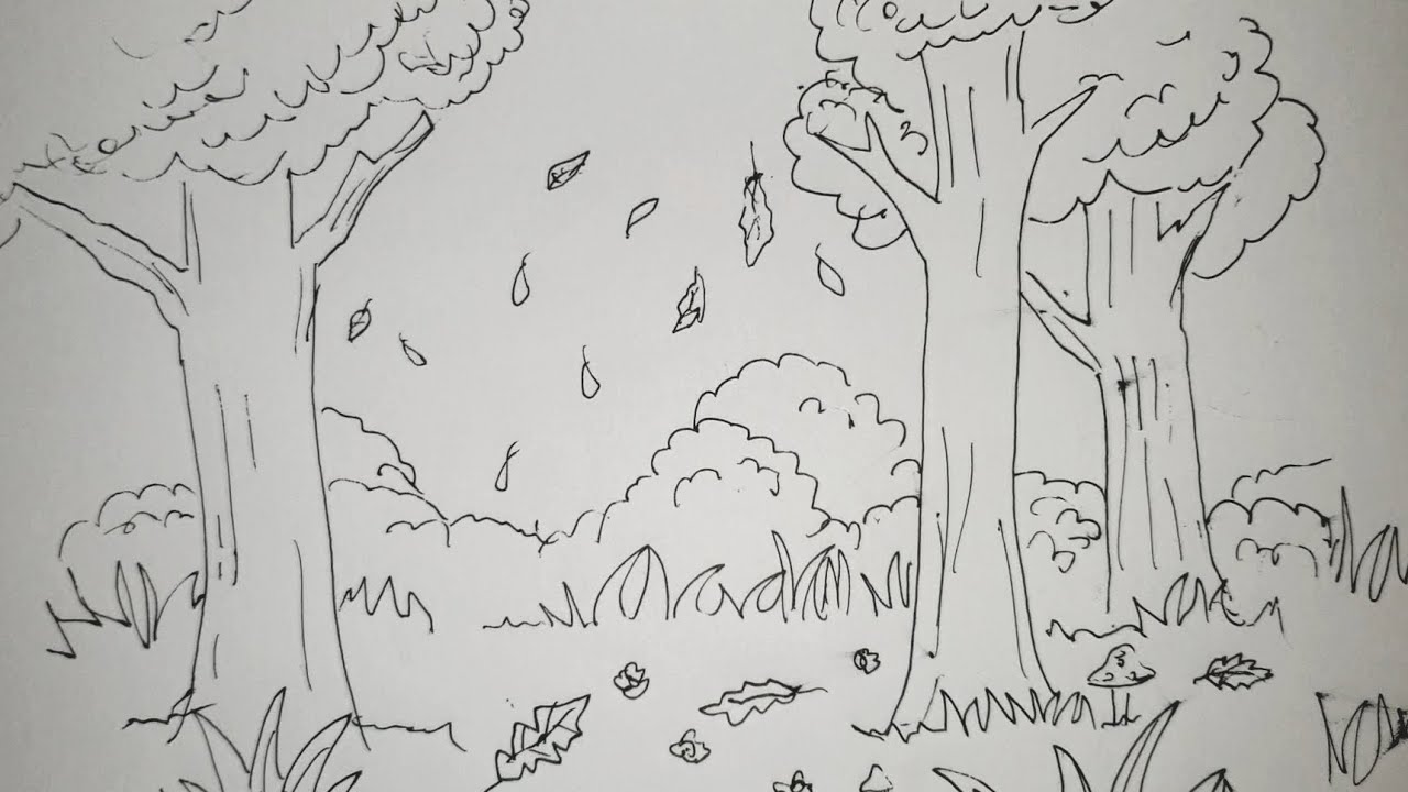 Kako nacrtati Jesenju Šumu/How to draw an Autumn Forest step by step🌲 ...
