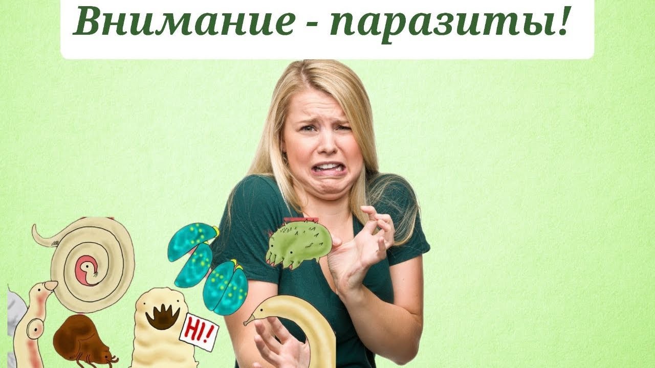 Паразиты. Как избавиться от паразитов в организме. Антипаразитарная ...