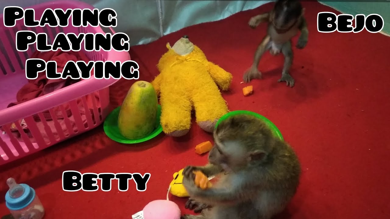 JUMP, ROLL OVER, RUN AND BITE EACH OTHER FUN {MONKEY "BETTY N' BABY ...