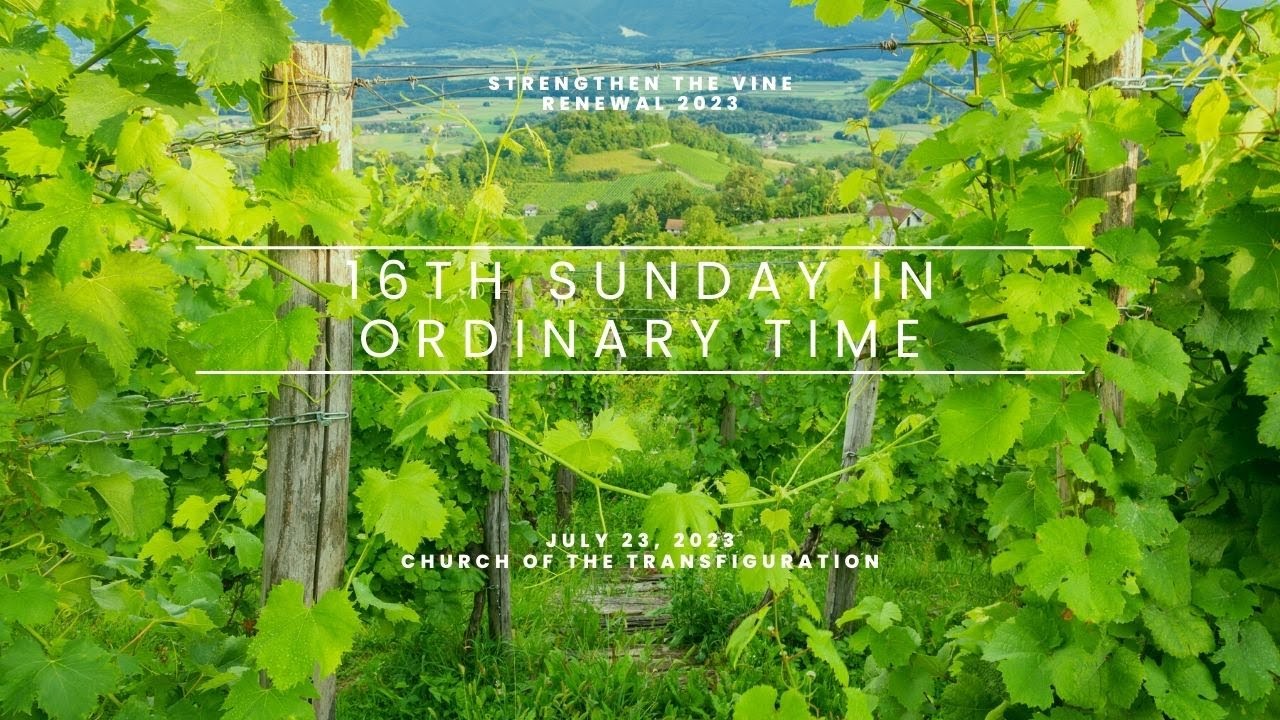 16th Sunday in Ordinary Time (7/23/23) - YouTube