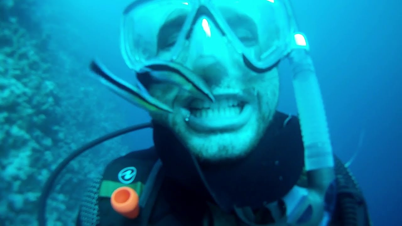 Scuba Diving Red Sea Egypt - YouTube
