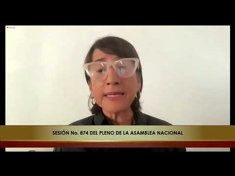 Carolina Portaluppi - Sesión 874 - Comisión General