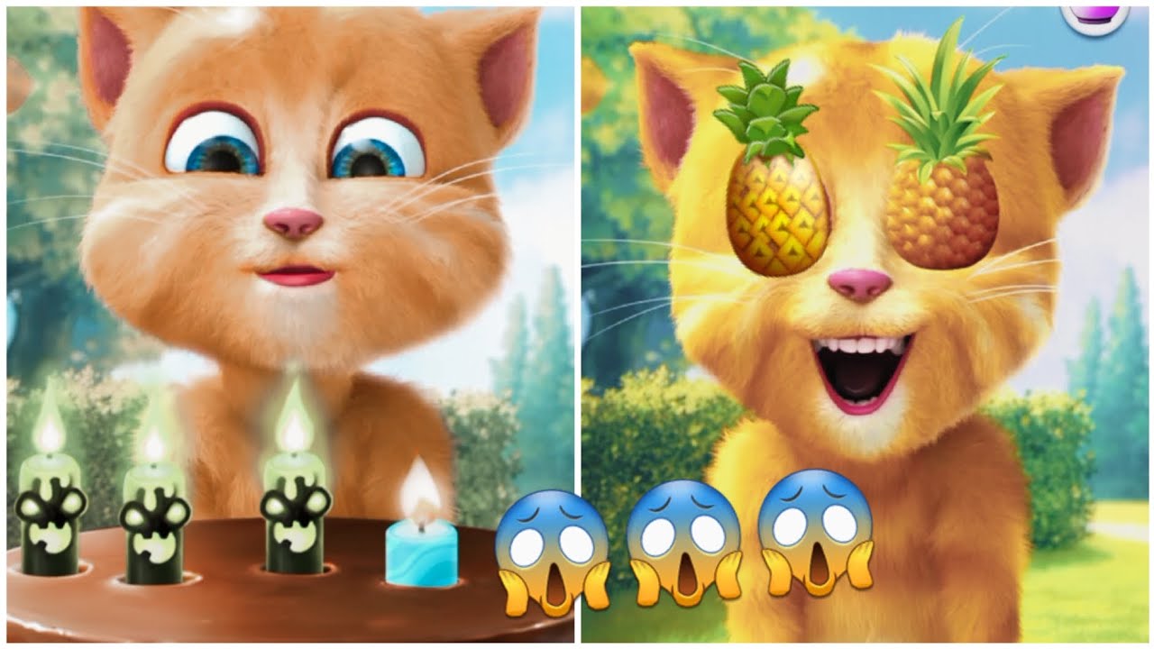 Talking ginger,yellow cat#ginget#multik - YouTube