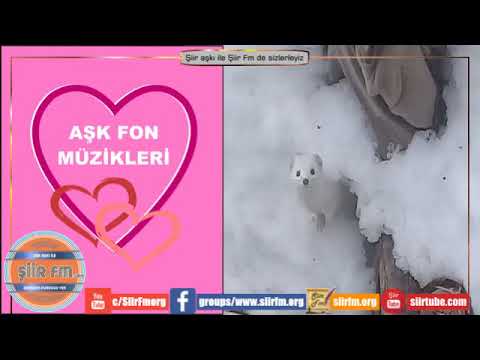 Aşk Fon Müzikleri - BEYAZ GELİNCİK