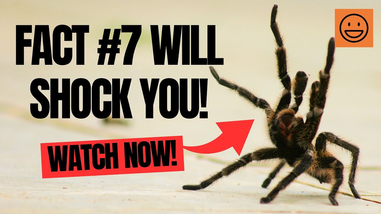 The Most Fascinating FUN FACTS You’ll Hear Today! - YouTube