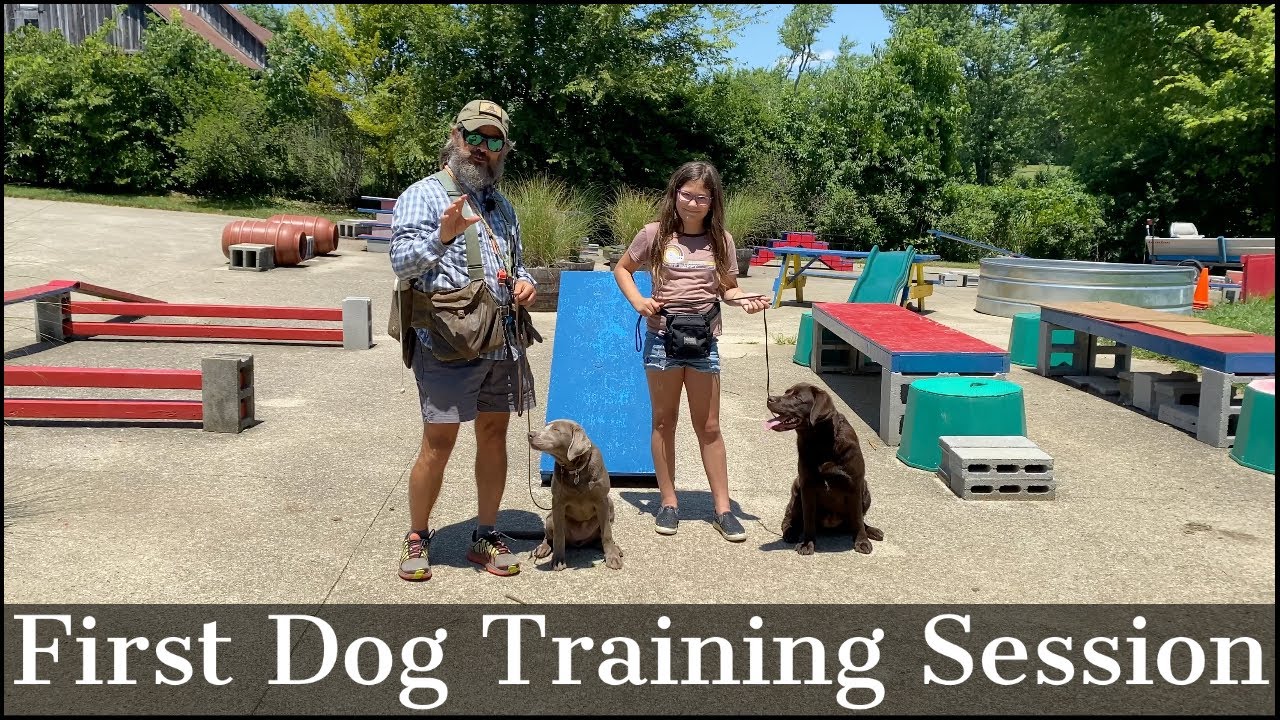 Lucia’s First Dog Training Session - YouTube