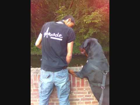 Azade(Gokmen) - dudaklarim kilitli