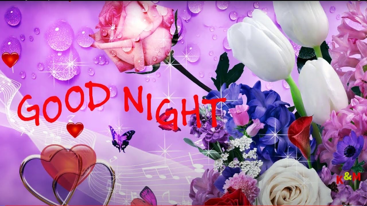 Good Night Lovely Music Video - YouTube