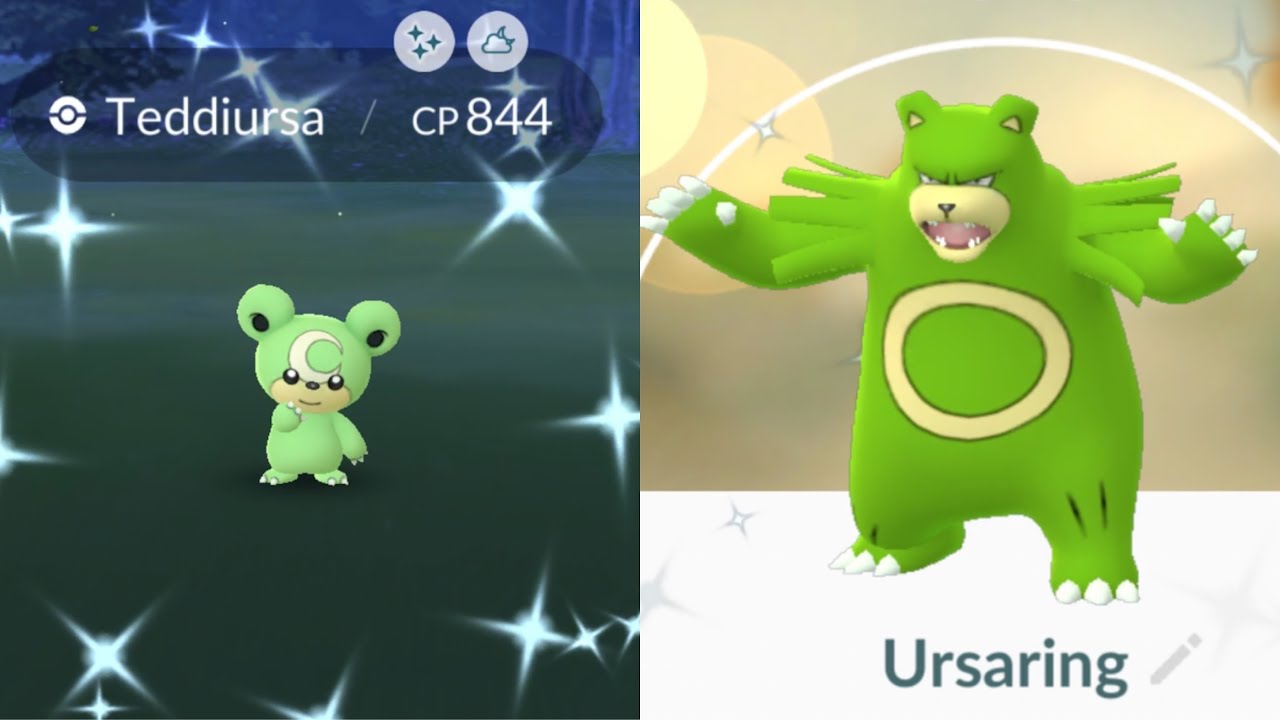 Pokemon Teddiursa Evolution