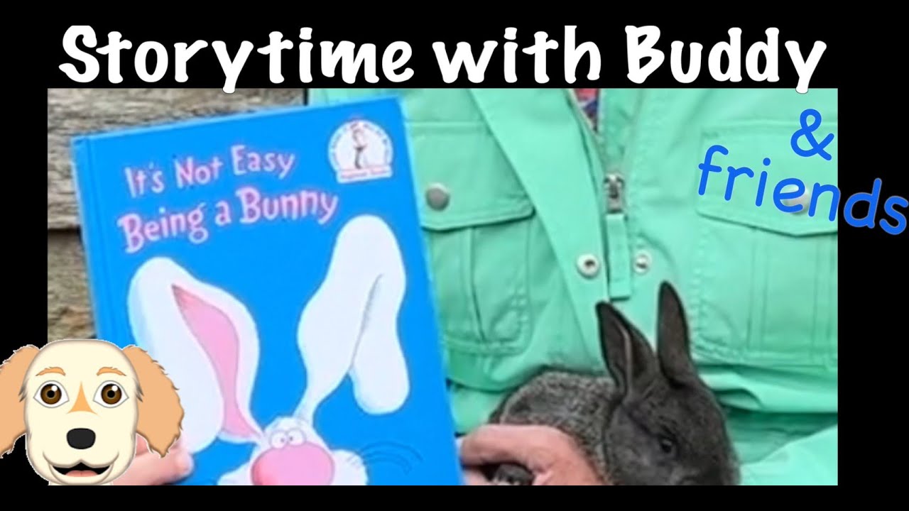 Storytime with Buddy - It's Not Easy Being a Bunny! by Marilyn Sadler ...