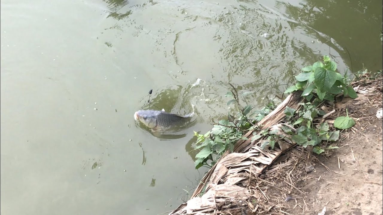 Huk Fish Hunting | Best Fish Catching | Best Fishing Video - YouTube