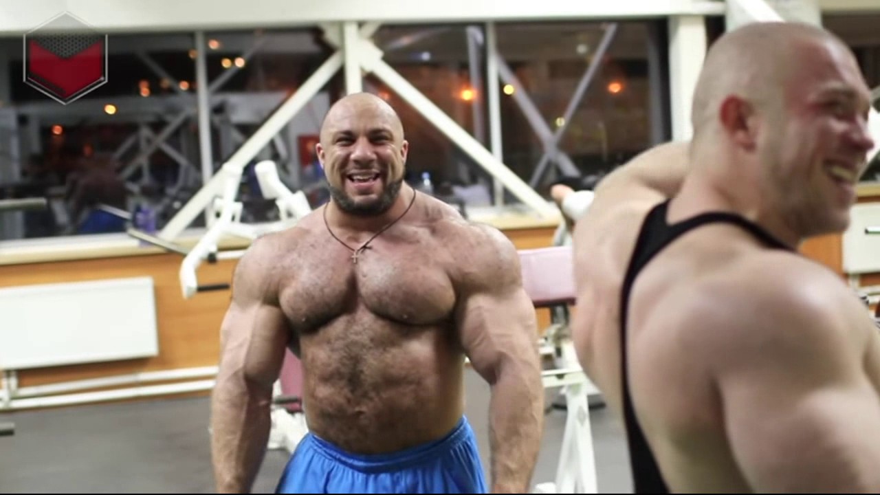 amazing muscle bull - YouTube