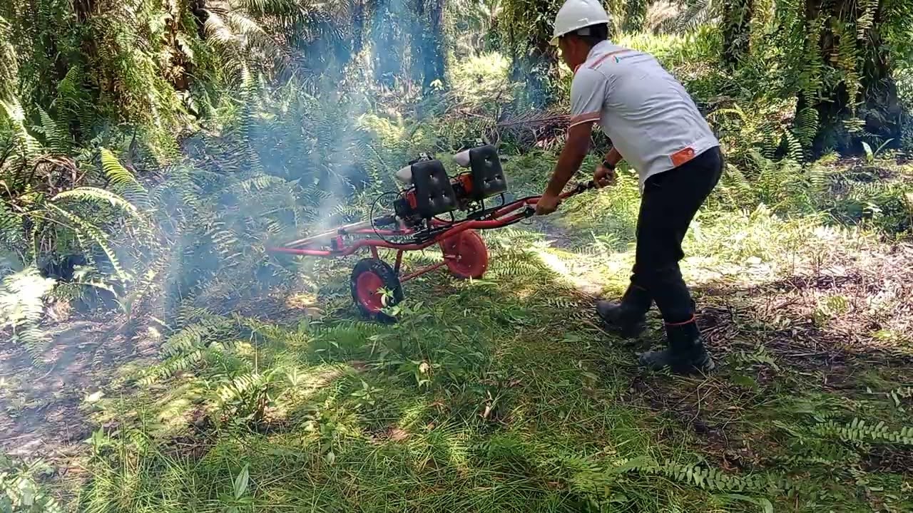 Prototype hand slasher in oil palm plantation to make soil haelthy ...