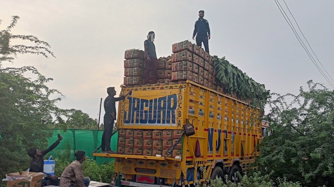 Maharashtra to jannati Kashmir flight ️ chaudry shakeel truck vlogs ️ ...