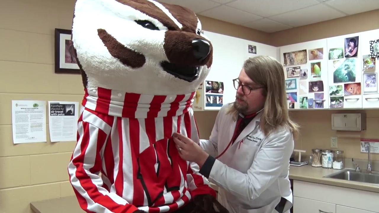 Bucky Goes to the Veterinarian - YouTube