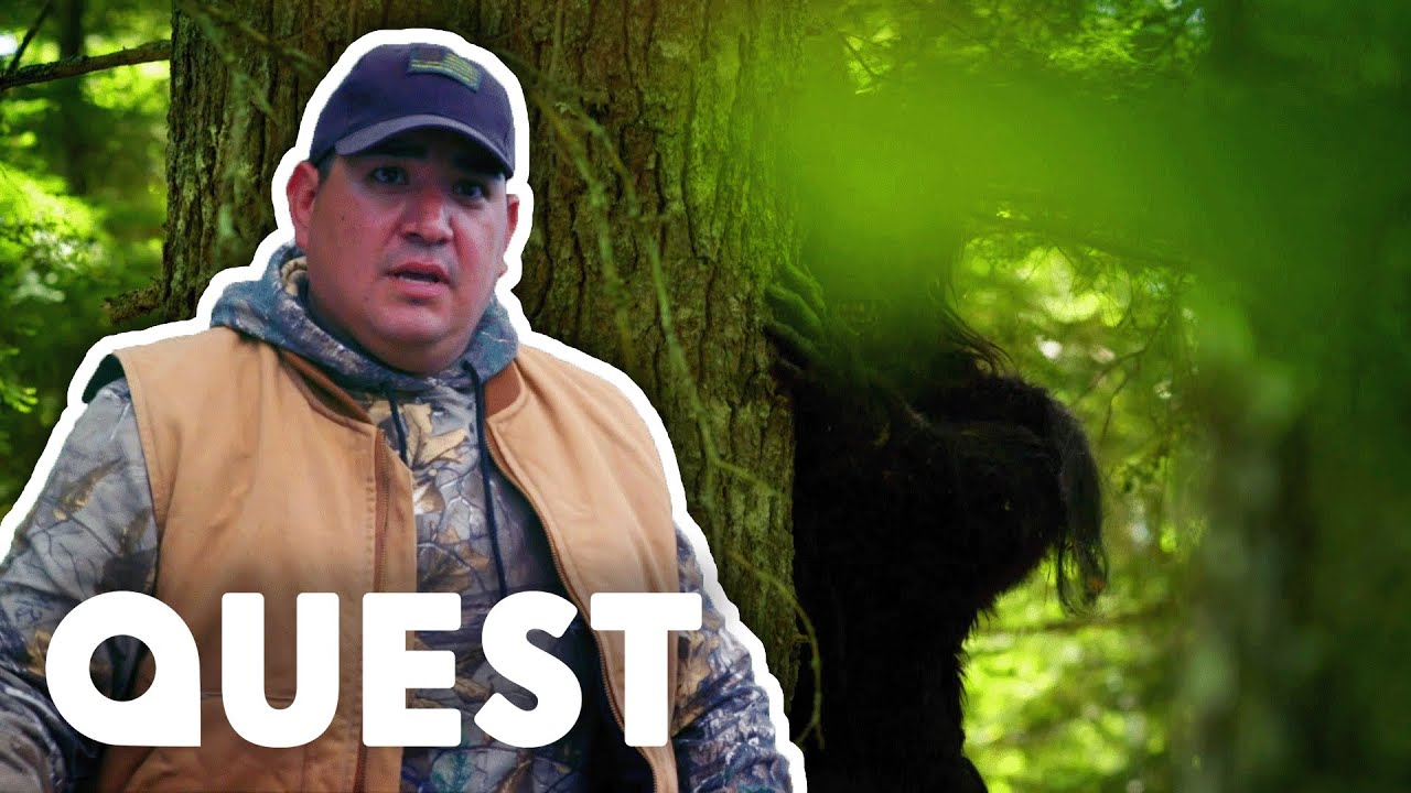 Cryptozoologist Searches For Signs Of Bigfoot In Alaska | The Alaska ...