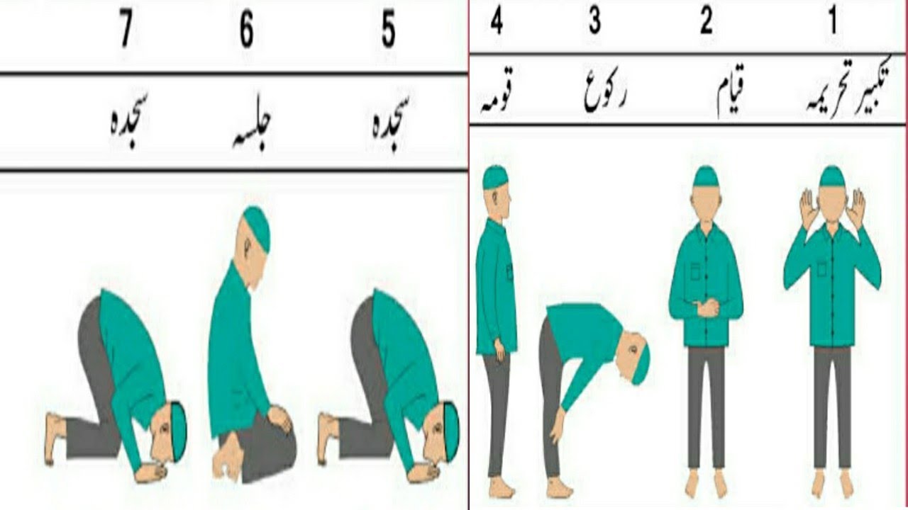 ||FULL NIMAZ|| (STEP BY STEP)|| EASY TIPS|| SHORT VIDEO || - YouTube