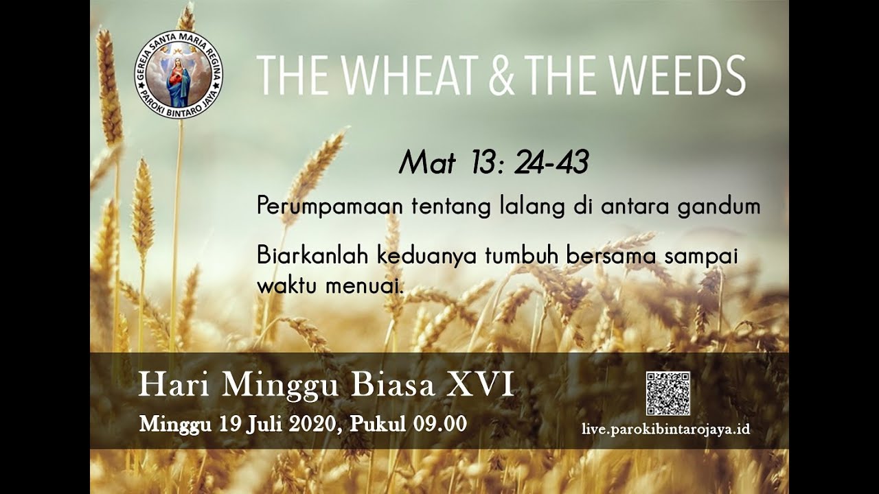 Perayaan Ekaristi Minggu Biasa XVI- Minggu, 19 Juli 2020 pukul 09:00 ...