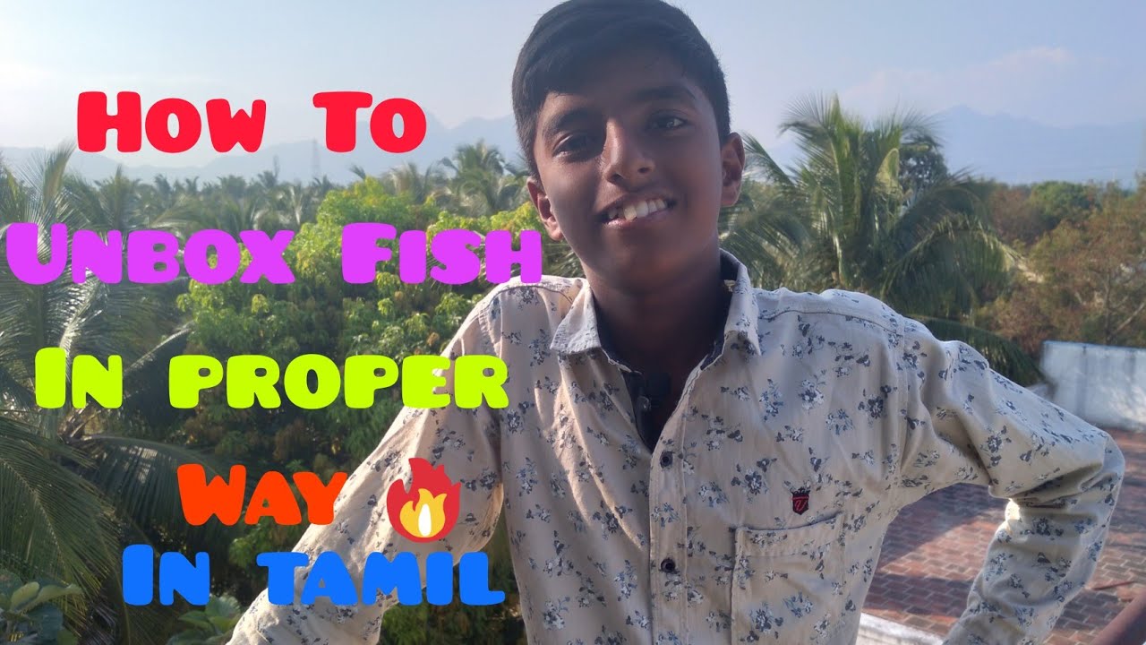 How to unbox Fish in A Proper Way In Tamil - YouTube