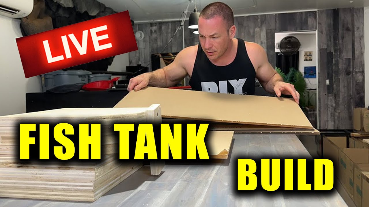 HOW TO build a fish tank / aquarium LIVE with the king of DIY - A ...