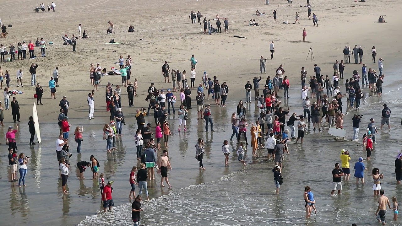 Surf City Splash (3 of 3) - YouTube