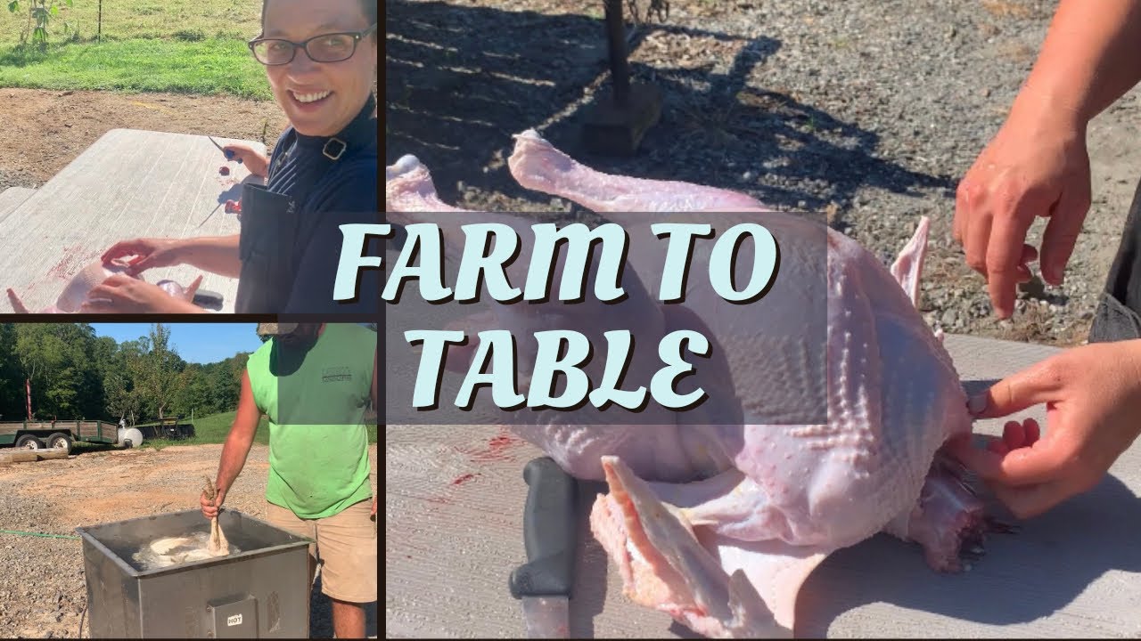 Take Control of YOUR Food | Processing Thanksgiving Turkeys | September ...