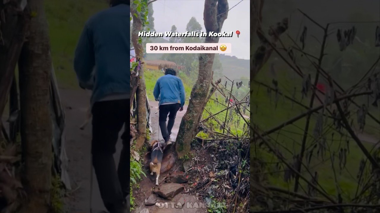 Kodaikanal Hidden waterfalls in Kookal Village - YouTube